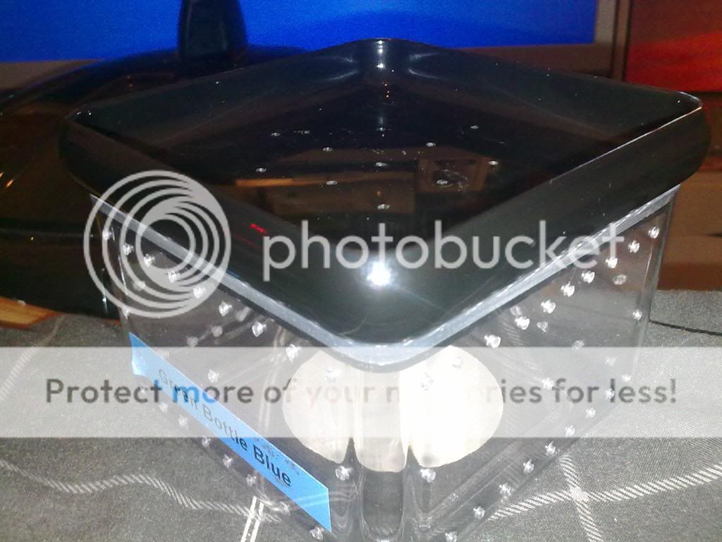 gbb new enclosure pic heavy | Reptile Forums